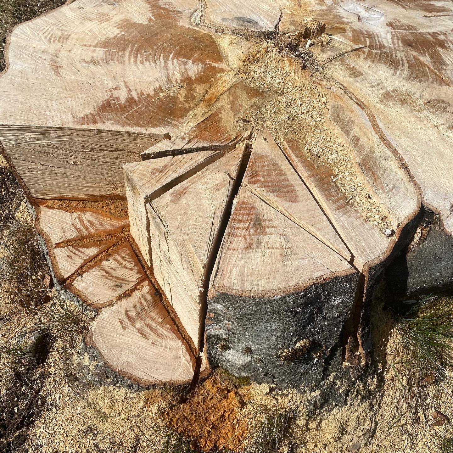 Borttagning av stubbe - Börjes Skog & Trädgårdstjänst AB